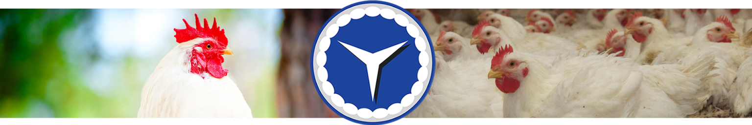 Join Our Team - Amick Farms